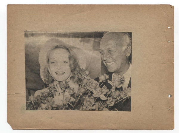 Natalie Draper Signed Album Page Autographed Signature Actress ...